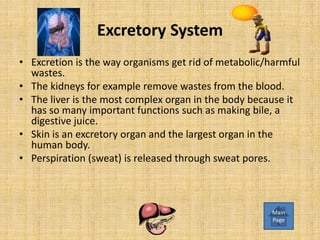 Bodysystemreveiw.presentation.presentation | PPT