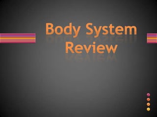 Body System Review | PPTX | Biological Sciences | Science