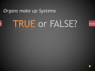 Body System Review | PPTX