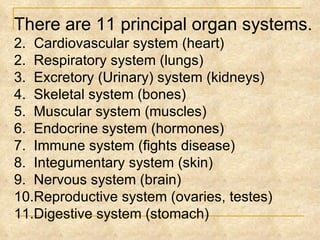 Body Systems | PPT