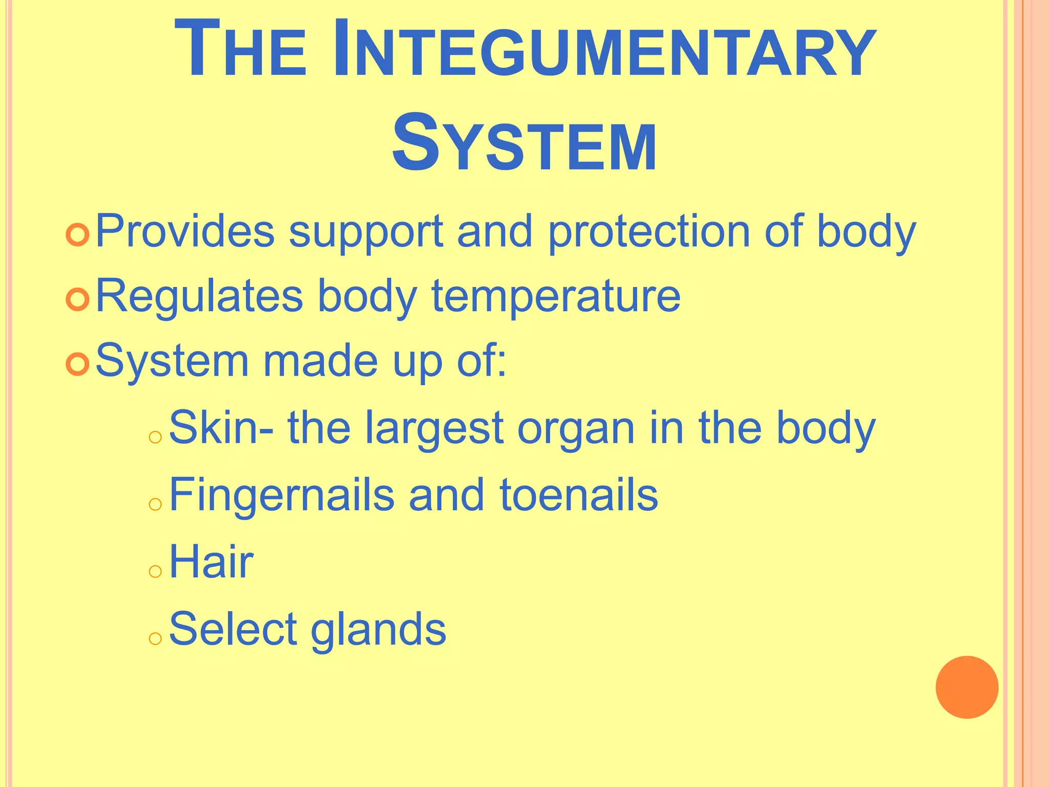Body Systems | PPTX