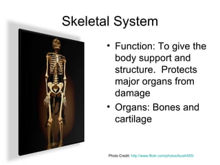 Body systems | PPT