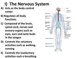 Body systems | PPT