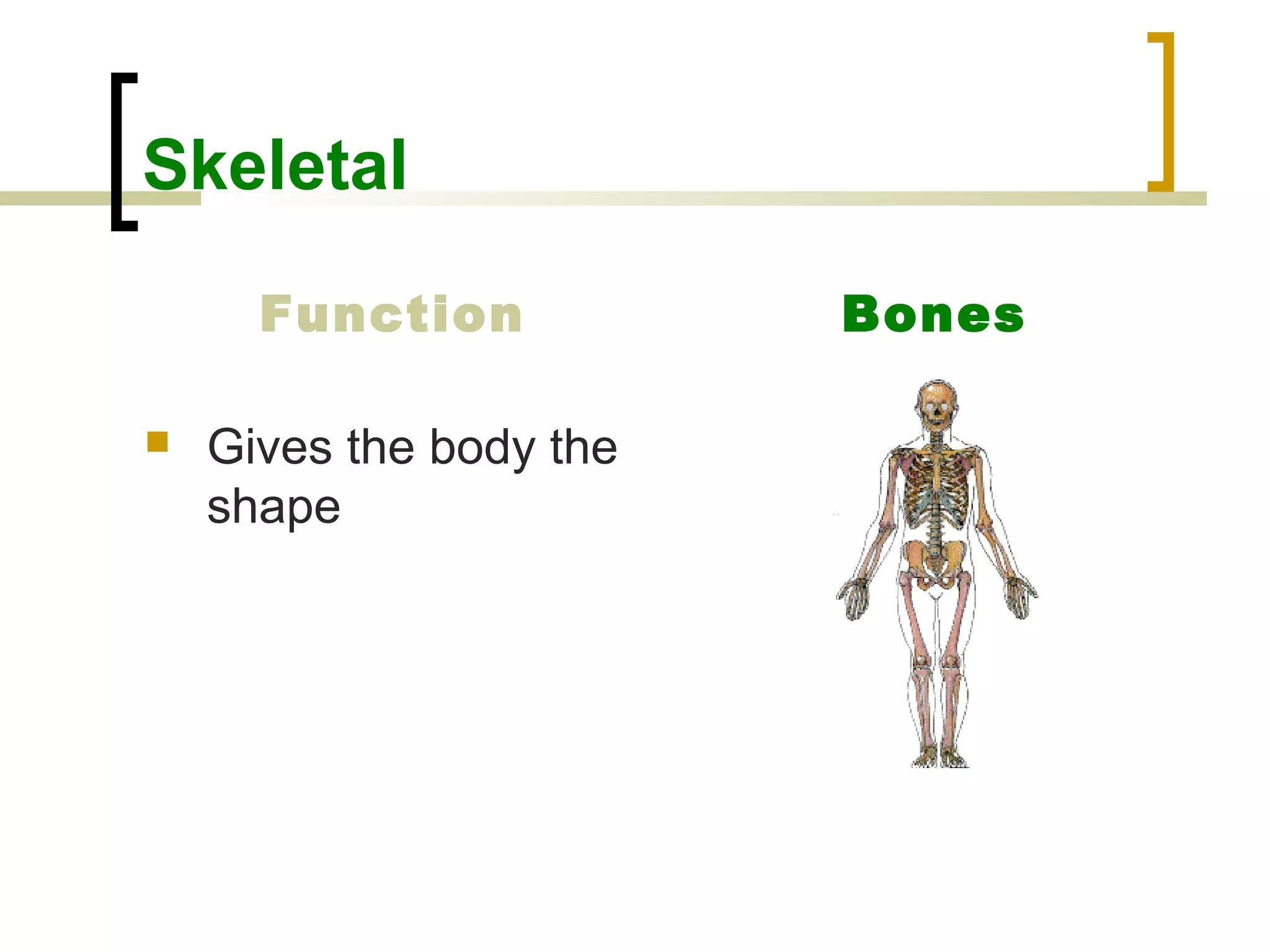 Body systems | PPT | Lung and Respiratory Health | Diseases and Conditions