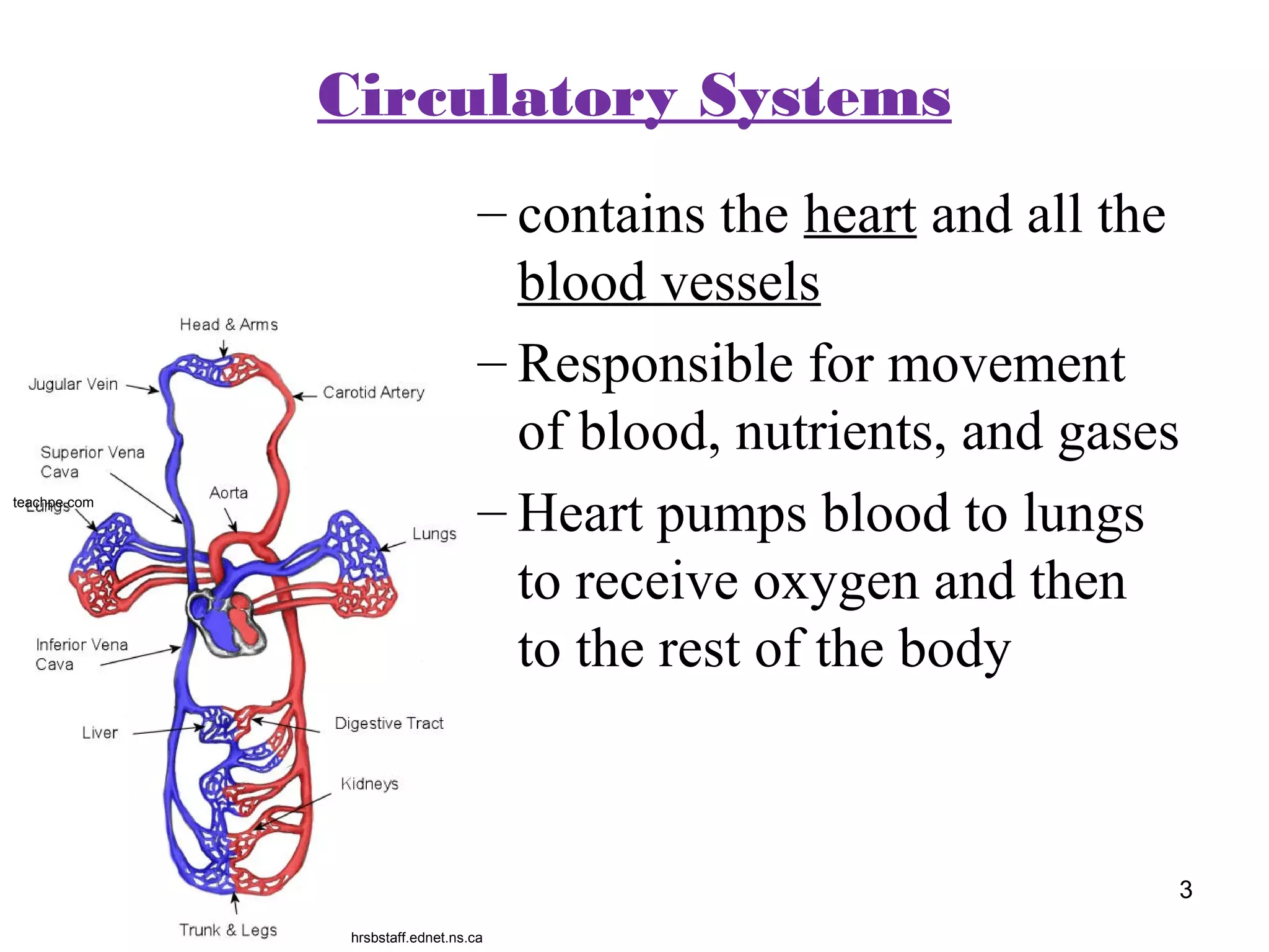 Body systems | PPT