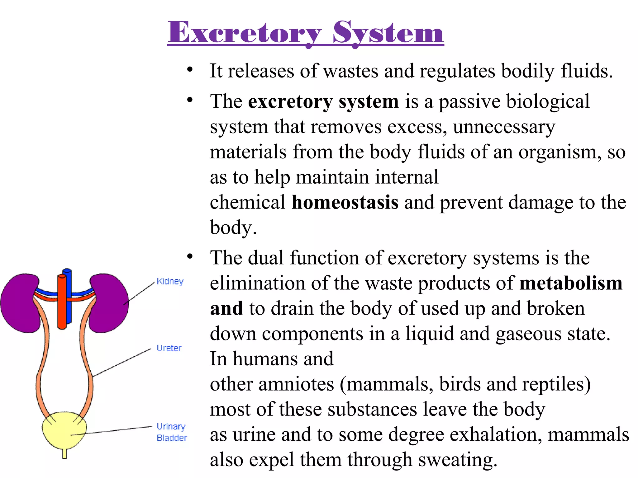 Body systems | PPT