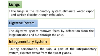 Body Systems .pdf
