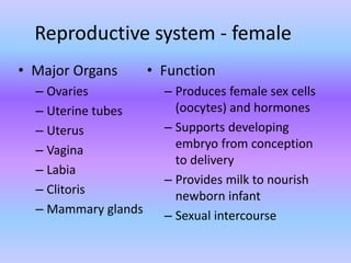 Body systems by-adarsh khilavdiya | PPT