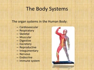 Body systems by-adarsh khilavdiya | PPTX | Reproductive Health ...
