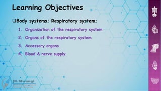 Body Systems - The respiratory system,structures, functions of the ...
