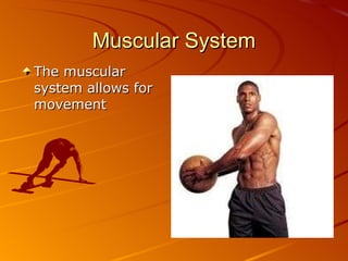 Body systems and homeostasis | PPT