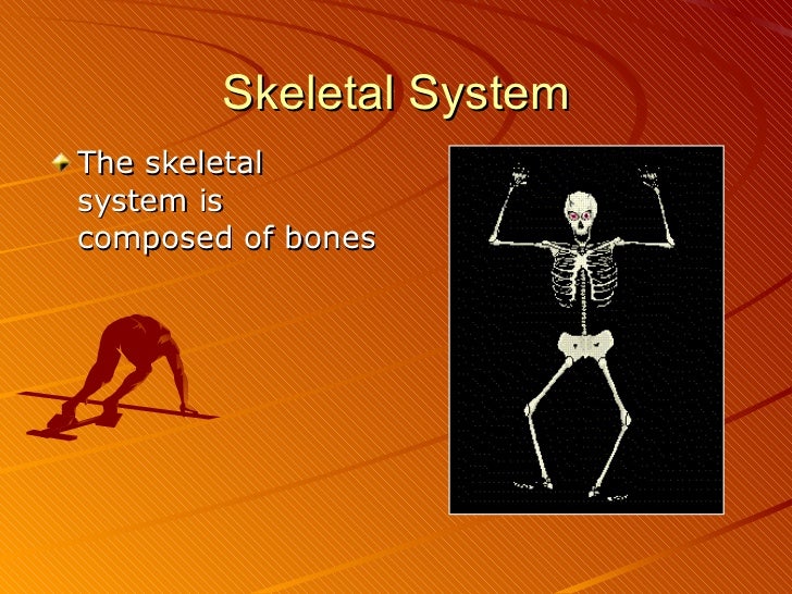 Body systems and homeostasis