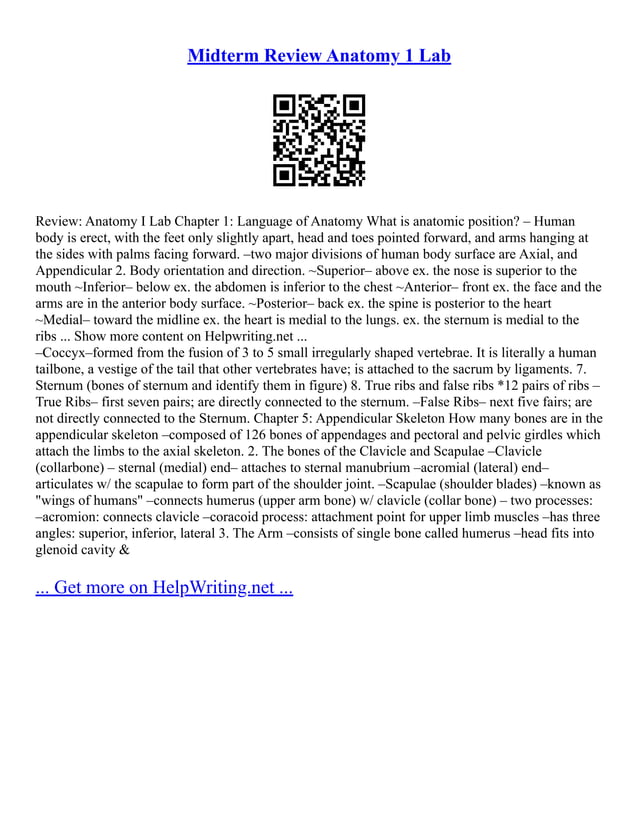 Body Systems Essay | PDF