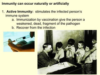 Body Systems & Immunity | PPT