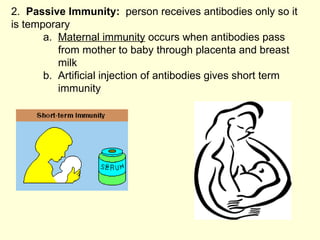 Body Systems & Immunity | PPT