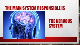 Body systems part 2 | PPTX