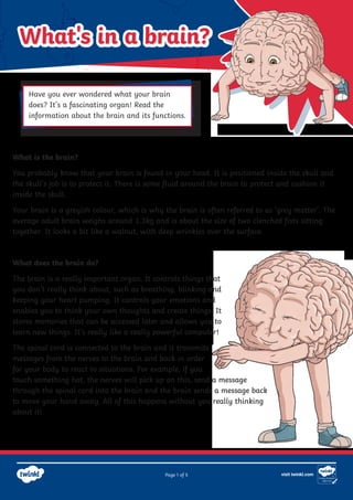 Body Systems Posters and Infographics.pdf