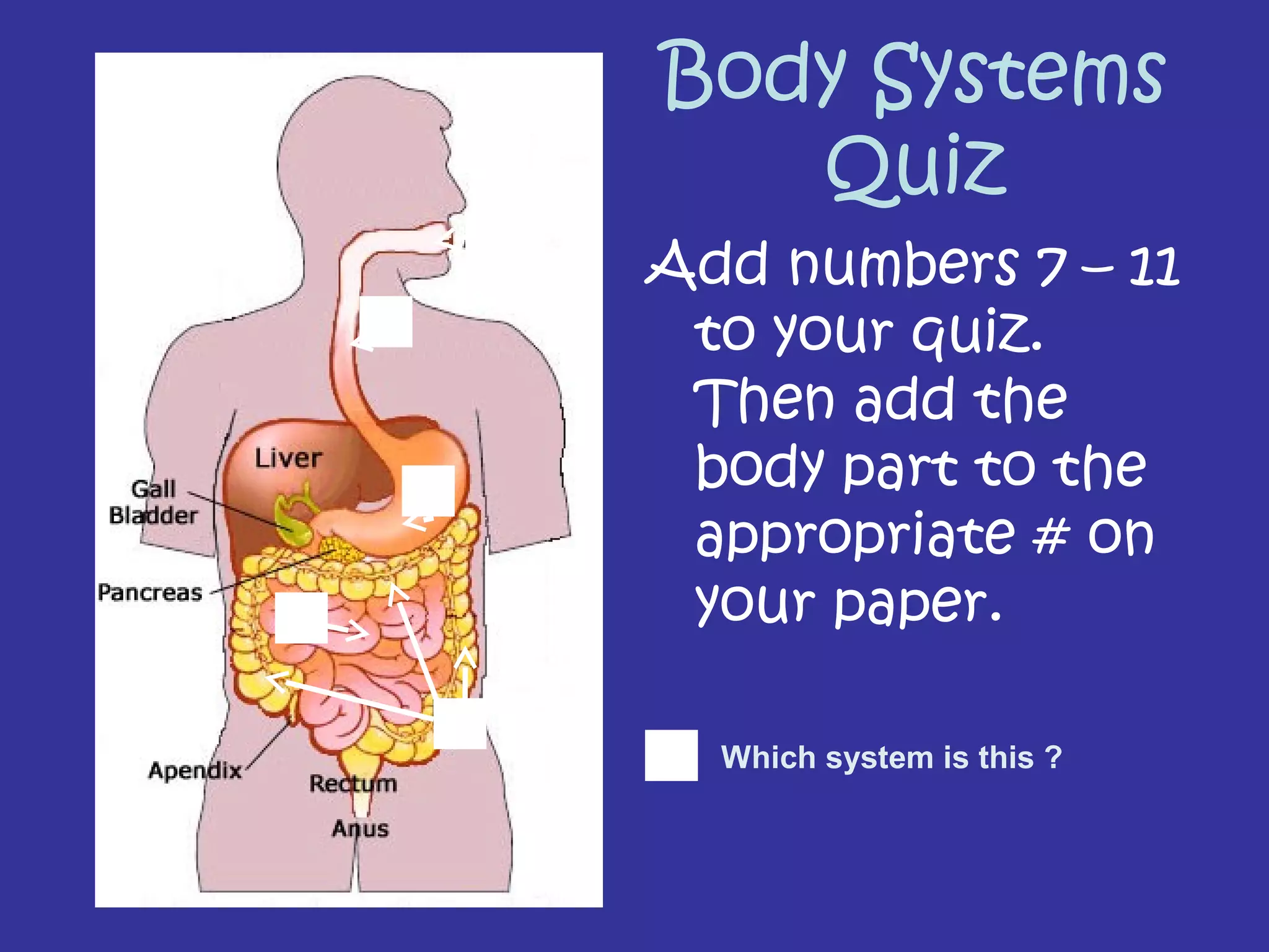 Body systems powerpoint | PPT | Bone and Joint Conditions | Diseases ...