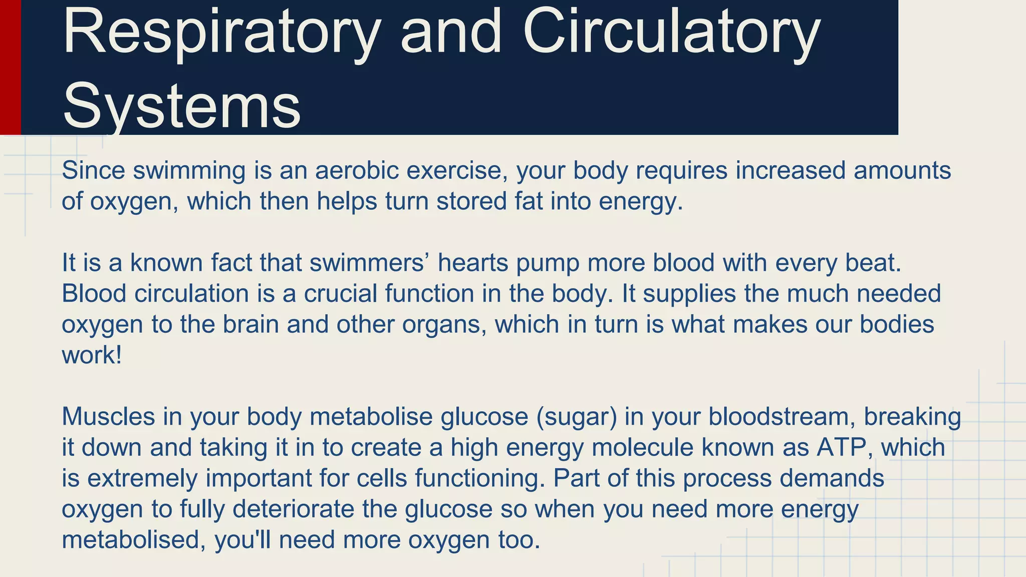 Body systems used in swimming | PPTX