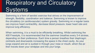 Body systems used in swimming | PPTX