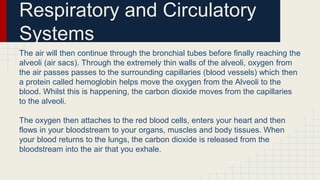 Body systems used in swimming | PPTX
