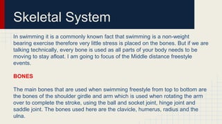 Body systems used in swimming | PPTX