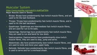 Body systems used in Tennis by Cameron Campisi | PPTX