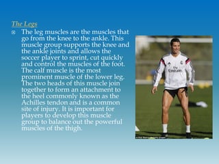 Body system used in soccer | PPTX