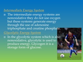 Body system used in soccer | PPTX