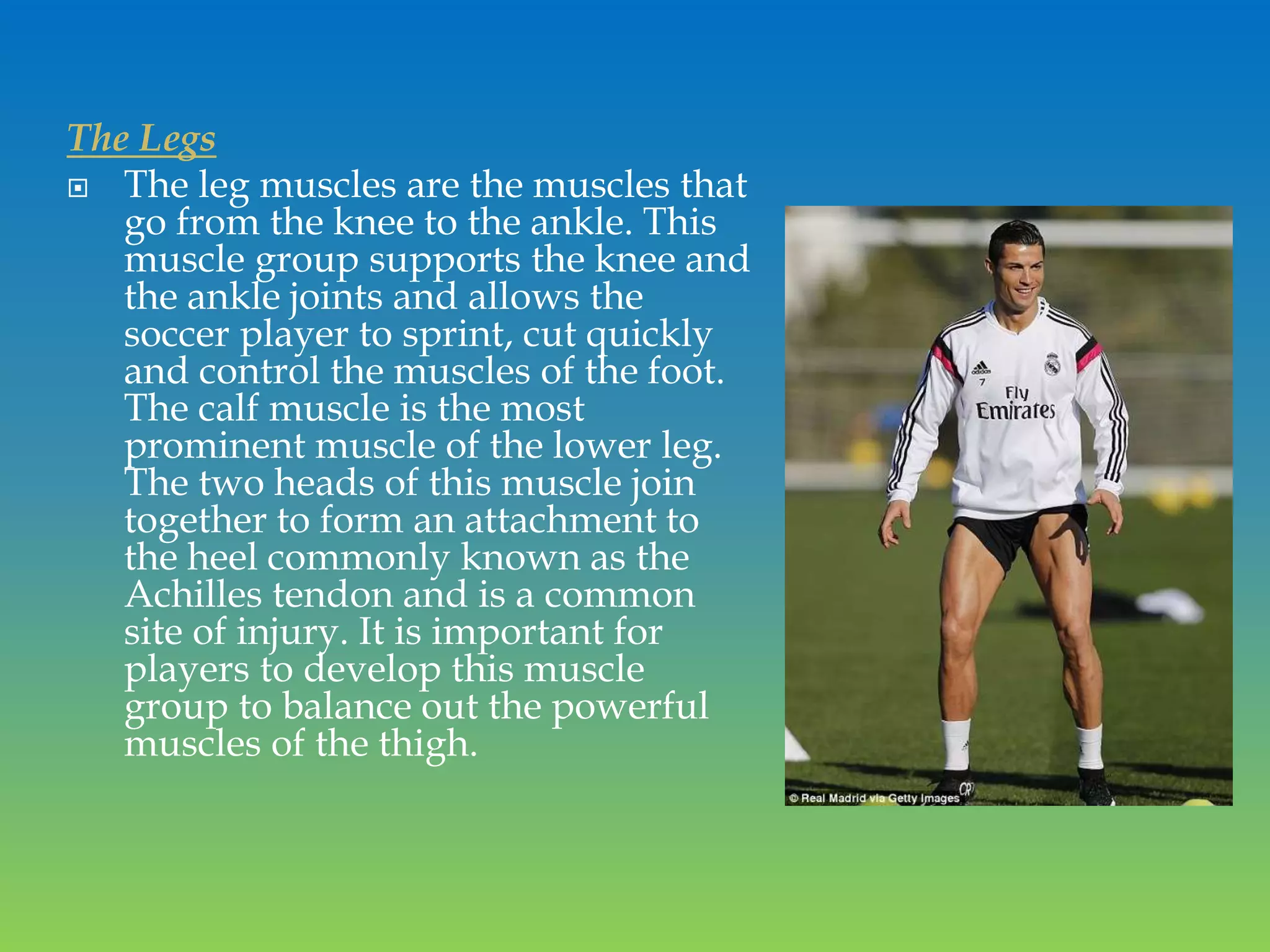 Body system used in soccer | PPTX