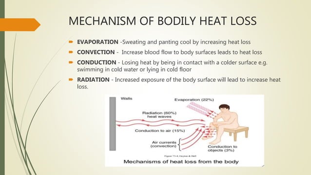 Body temperature | PPTX