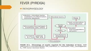 Body temperature | PPTX