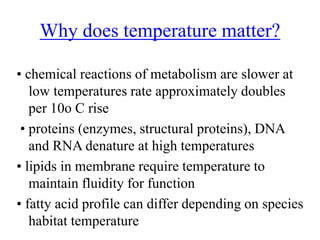 Body Temperature And Its Regulation.pptx