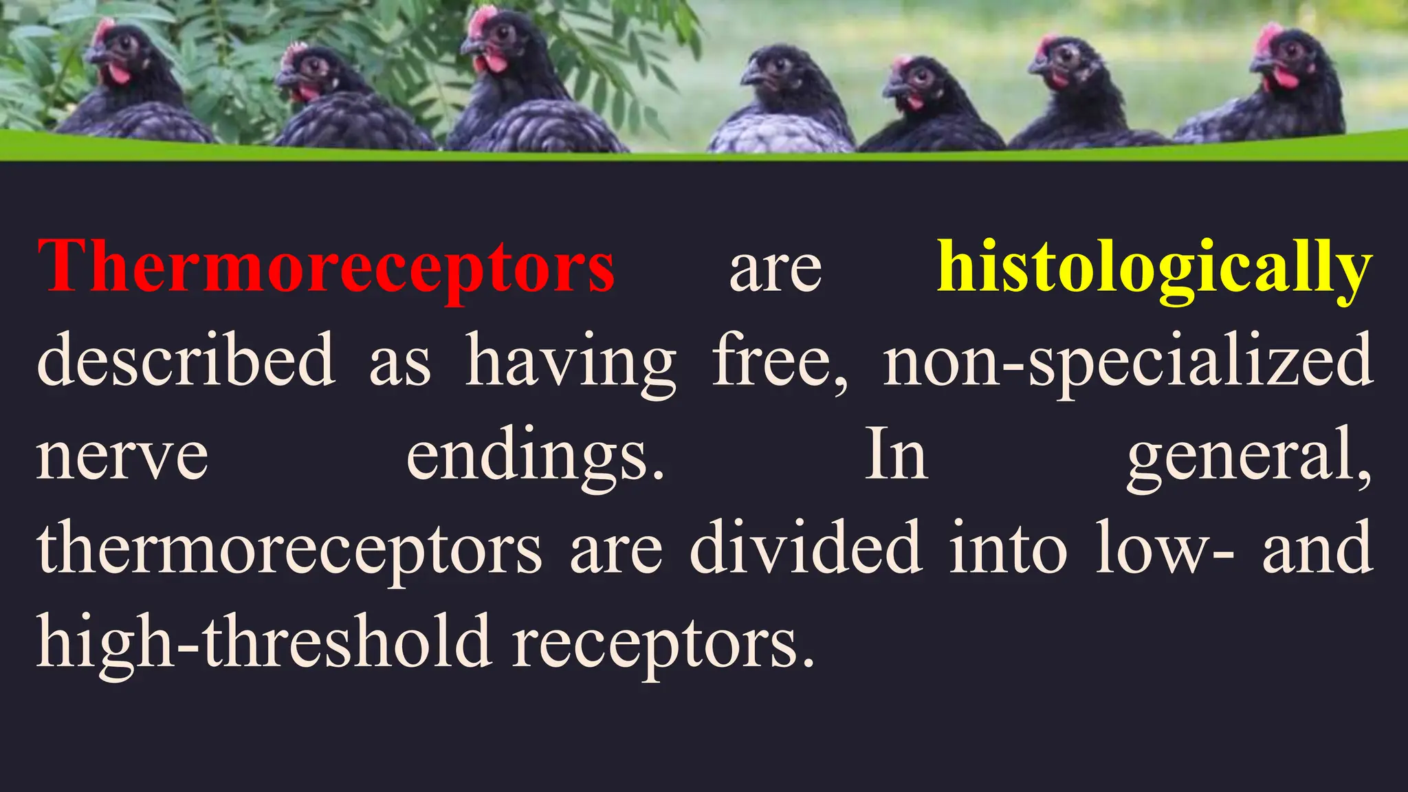 Animal Science Body Temperature and Regulation.pptx
