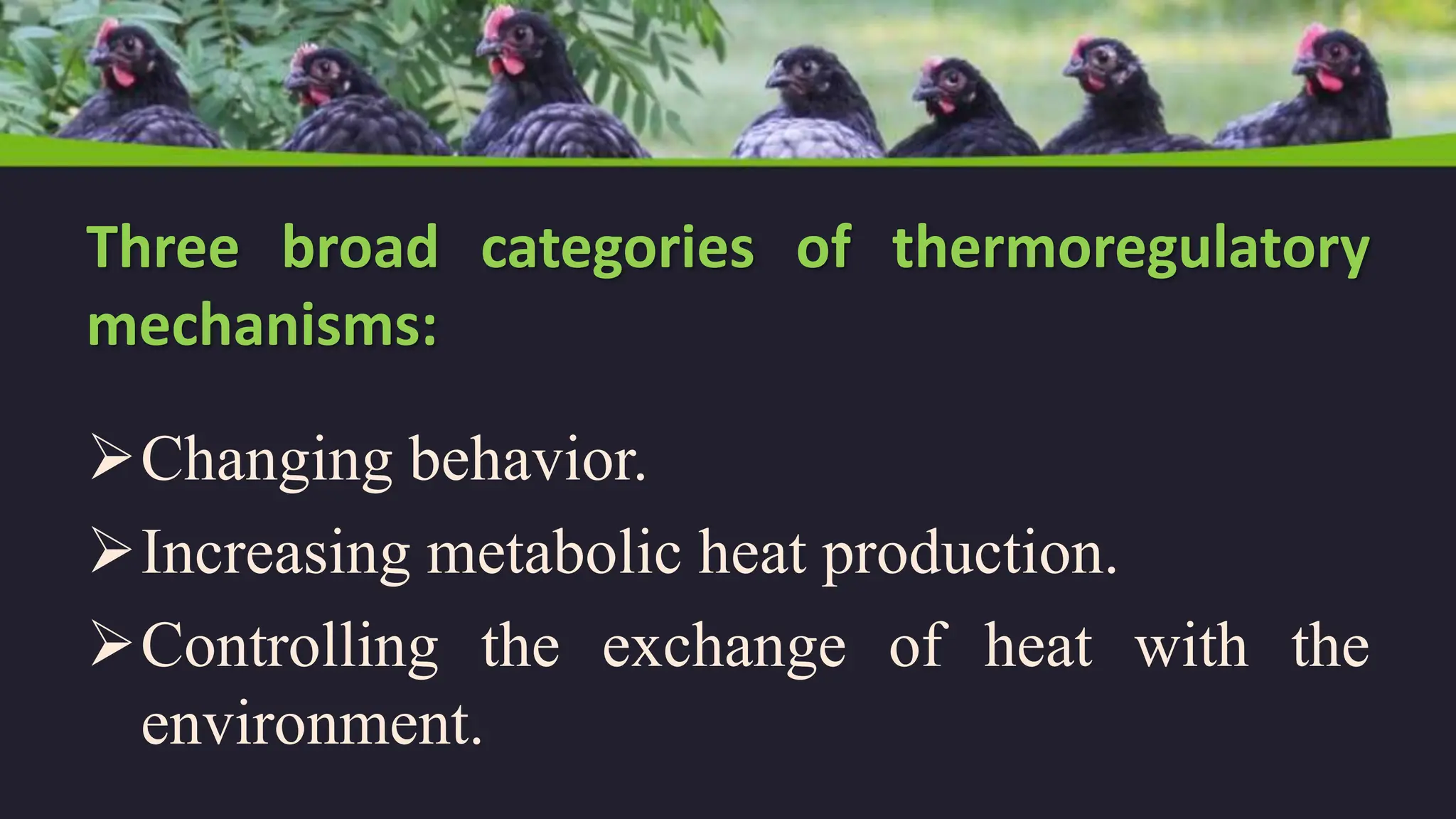 Animal Science Body Temperature and Regulation.pptx