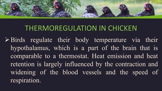 Animal Science Body Temperature and Regulation.pptx