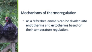 Animal Science Body Temperature and Regulation.pptx