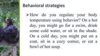 Animal Science Body Temperature and Regulation.pptx