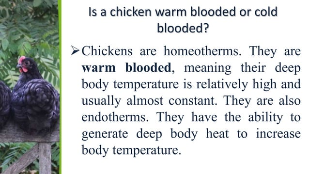 Animal Science Body Temperature and Regulation.pptx | Endocrine and ...