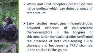 Animal Science Body Temperature and Regulation.pptx