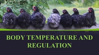 Animal Science Body Temperature and Regulation.pptx