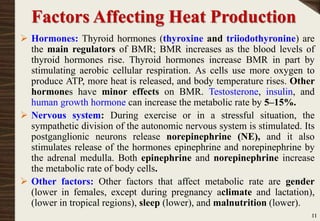 Body Temperature Control | PPTX