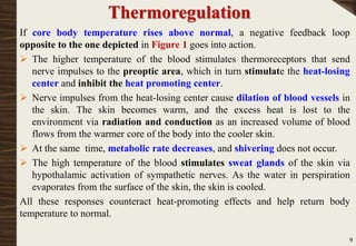 Body Temperature Control | PPTX