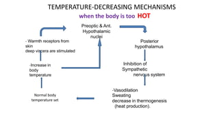 Body temperature mechanism | PPT