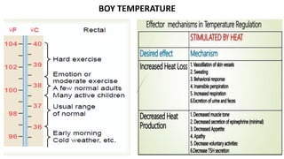Body temperature mechanism | PPT