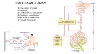 Body temperature mechanism | PPT