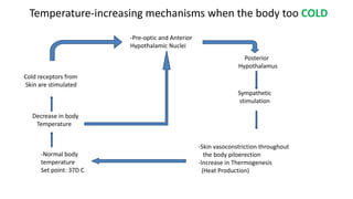 Body temperature mechanism | PPT