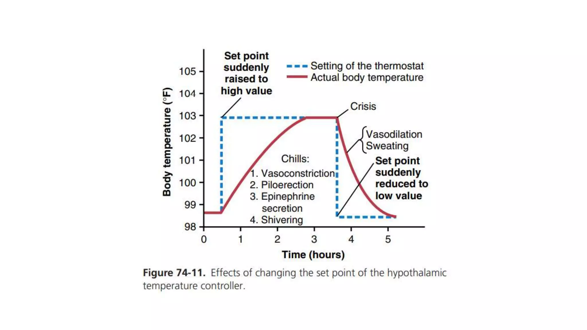Body Temperature Regulation.pptx