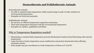 Body temperature Regulation In detail and complete. | PPTX