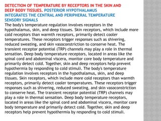 Body Temperature Regulation and Fever.pptx